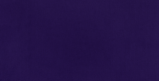 Shannon Fabrics Solid Cuddle 3 Indigo